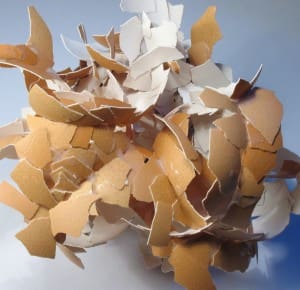 P.E. LABELLERS – PLASTIC FROM EGGSHELLS – Itfoodonline Blog