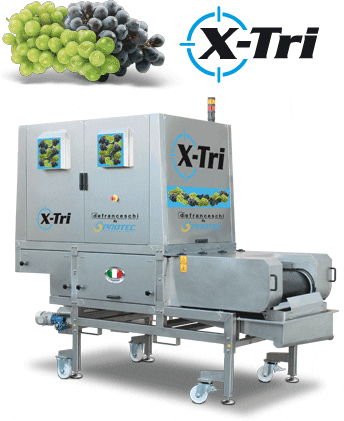 PROTEC: GRAPE SORTING LINE – Itfoodonline Blog