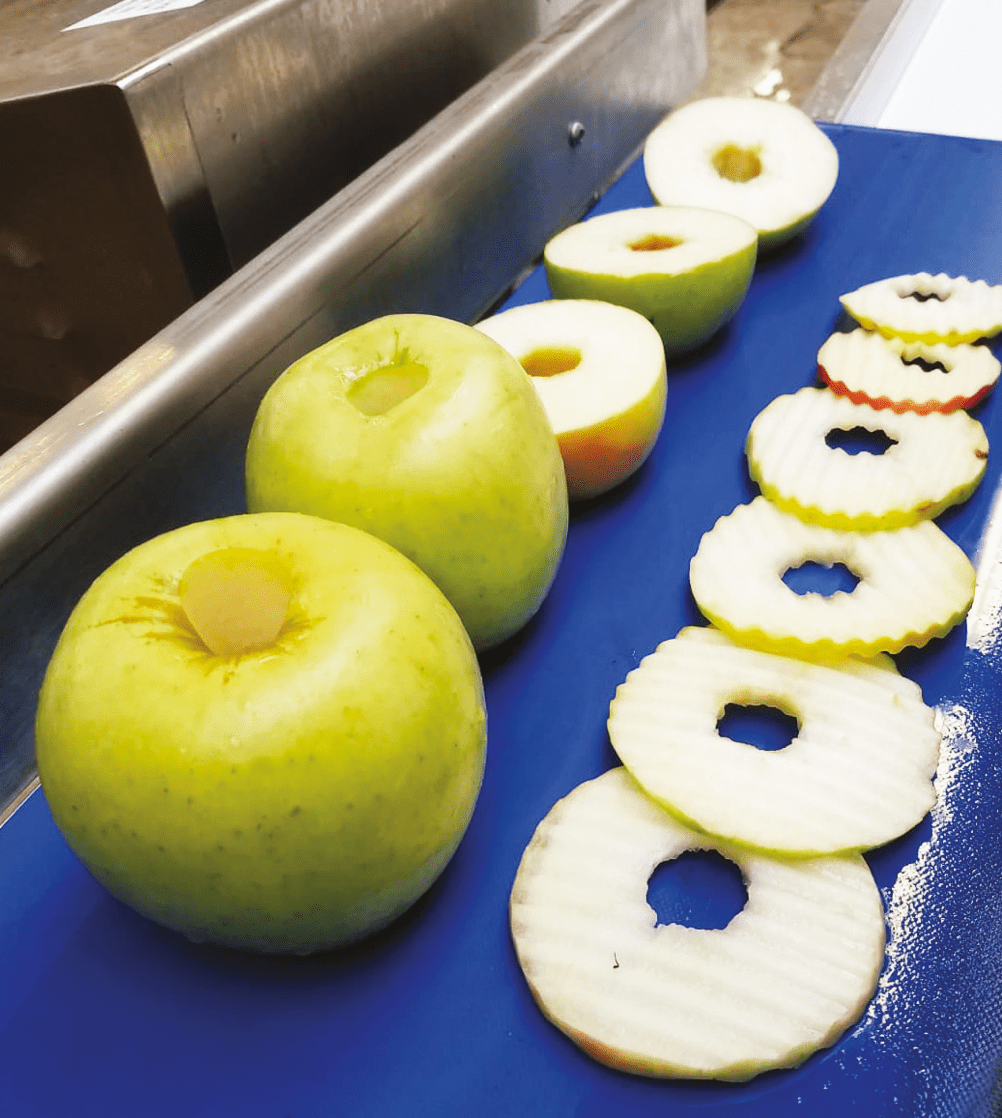 Machines for fruit processing – Itfoodonline Blog
