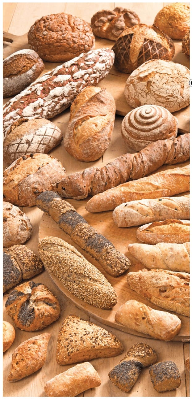 The secret of Rademaker: continuous innovation in the Rademaker ...