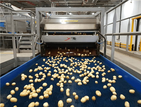 The highest sorting efficiency on unwashed potatoes: discover Raynbow by Raytec Vision ...