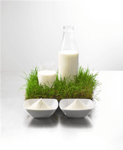 UELZENA INGREDIENTS: Milk based ingredients for confectionery and ...