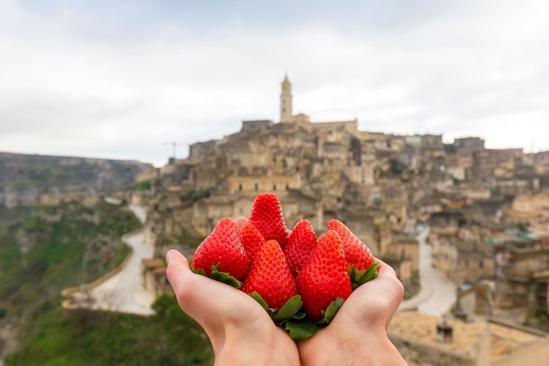 NICOFRUIT: past, present and future FRAGOLA MATERA® – Itfoodonline Blog