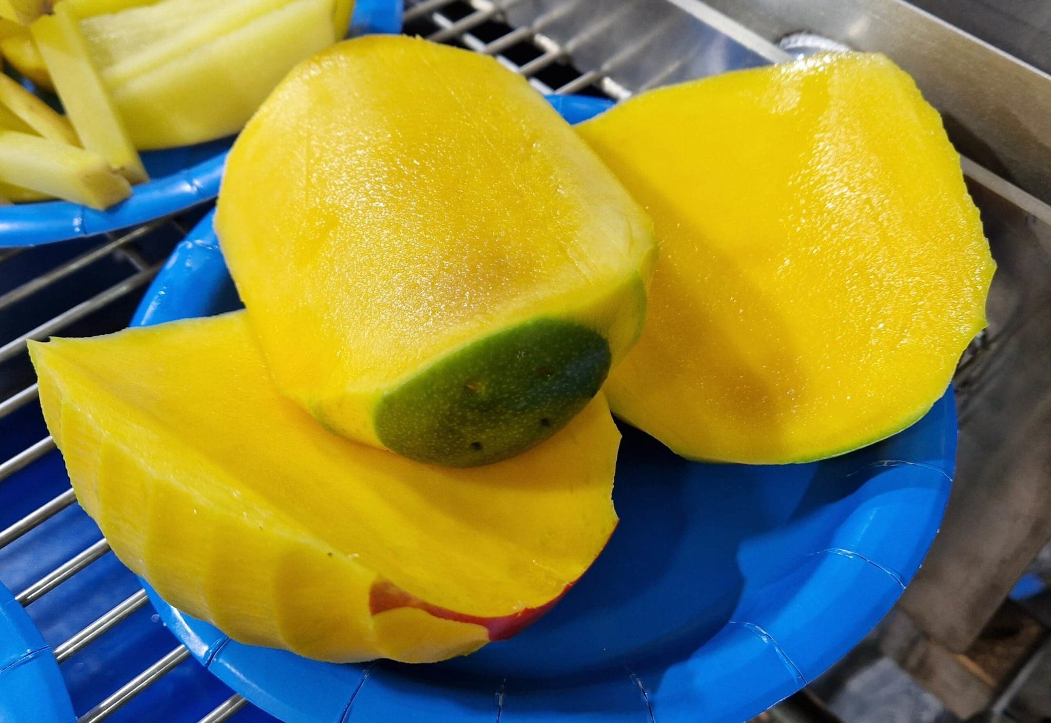 PND and its new mango peelers mod. PL4M and PL8M: the novelty of 2023 ...