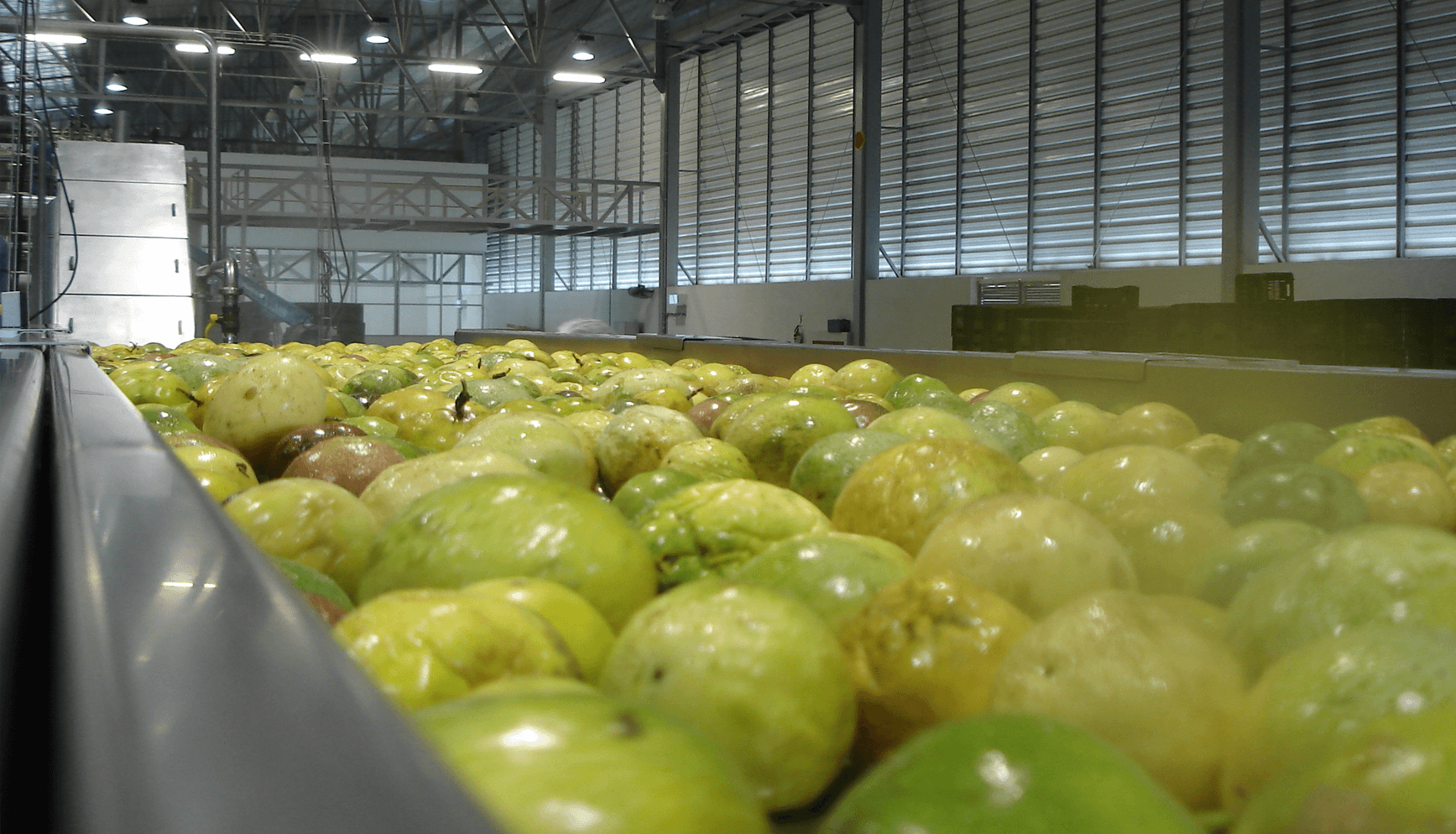 TROPICAL FOOD MACHINERY: A leading company in the sector of fruit ...