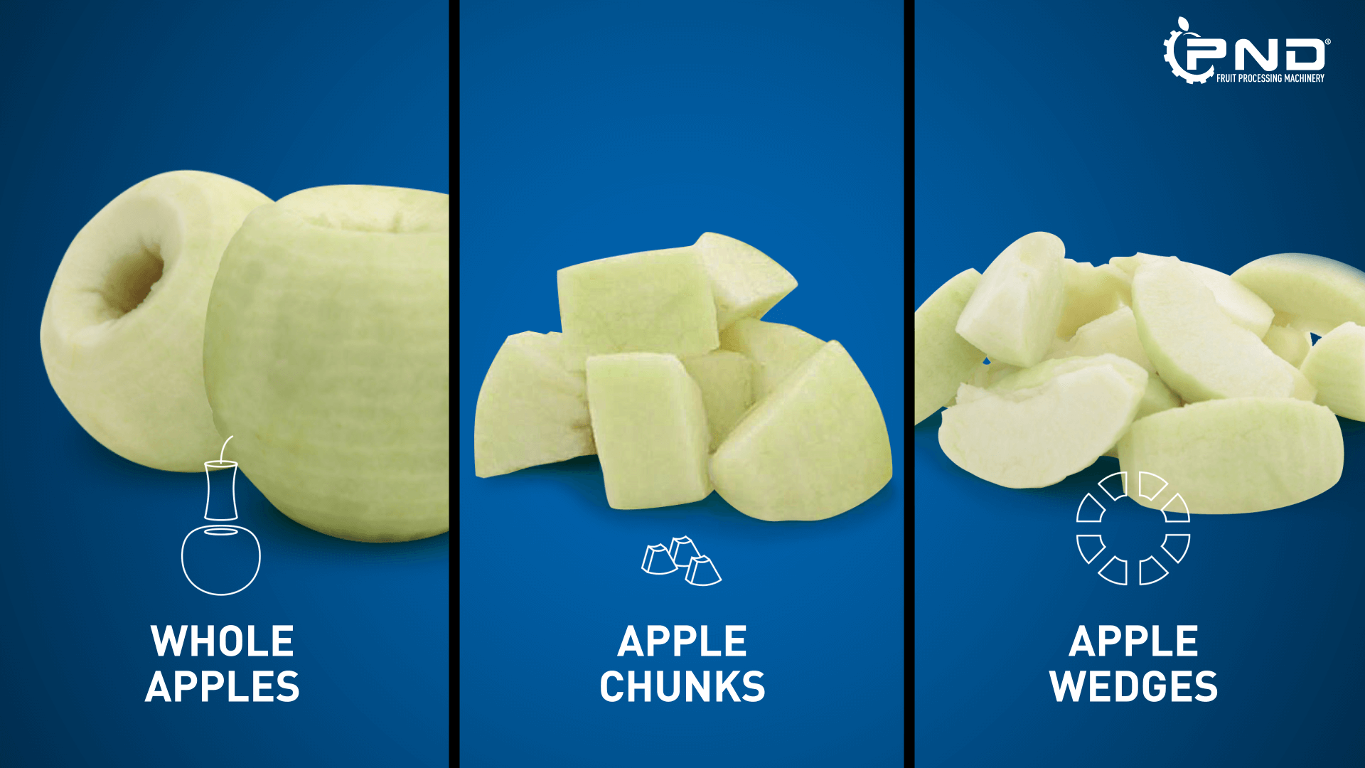 Fruit Takes Shape with PND’s Know-How, a Market Leader for Twenty Years ...