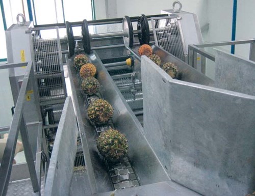 BERTUZZI | Fruit processing machines | ItFoodOnline